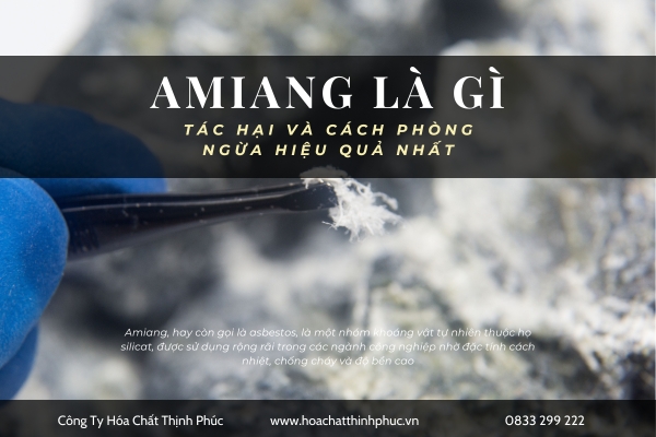 Amiang Là Gì? Tác Hại và Cách Phòng Ngừa Hiệu Quả Nhất